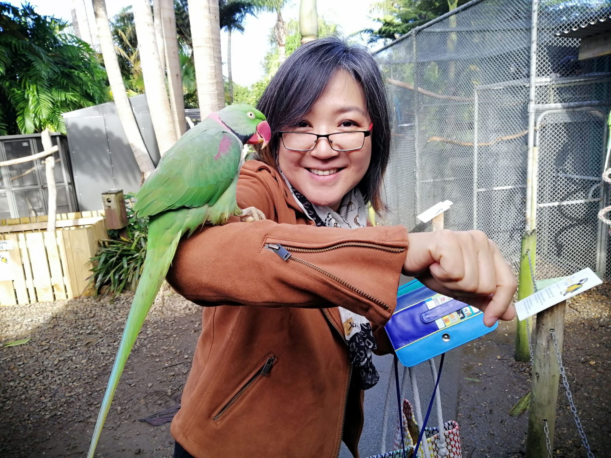 You, Me and Northland "Fun Activities" *** The Parrot Place, Kerikeri ...